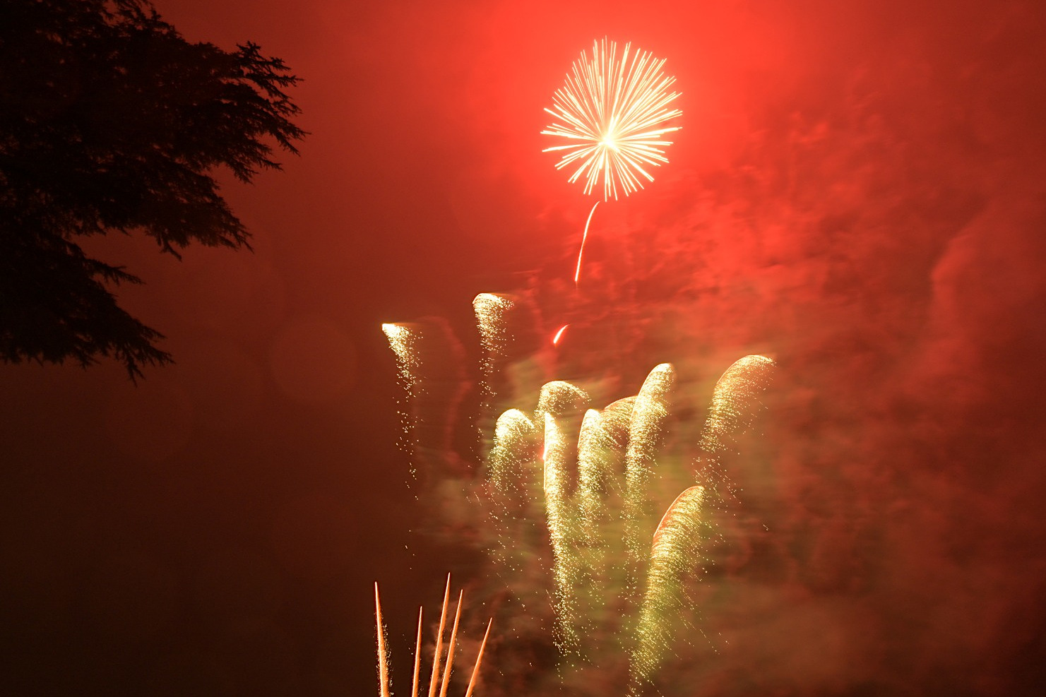 Watford’s biggest fireworks display spectacular returned to Cassiobury ...