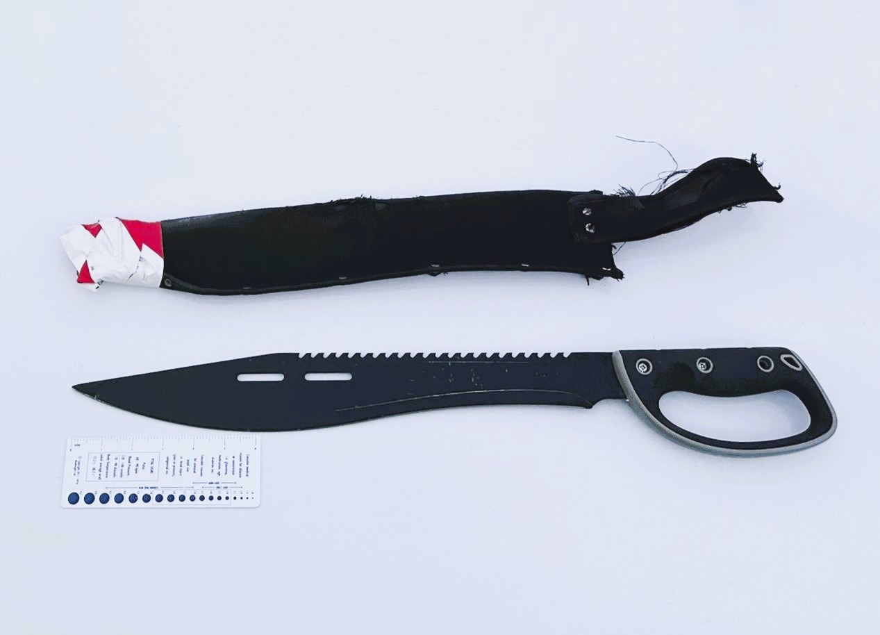 Amnesty for Zombie Knives and Machetes: A National Effort to Stop knife ...
