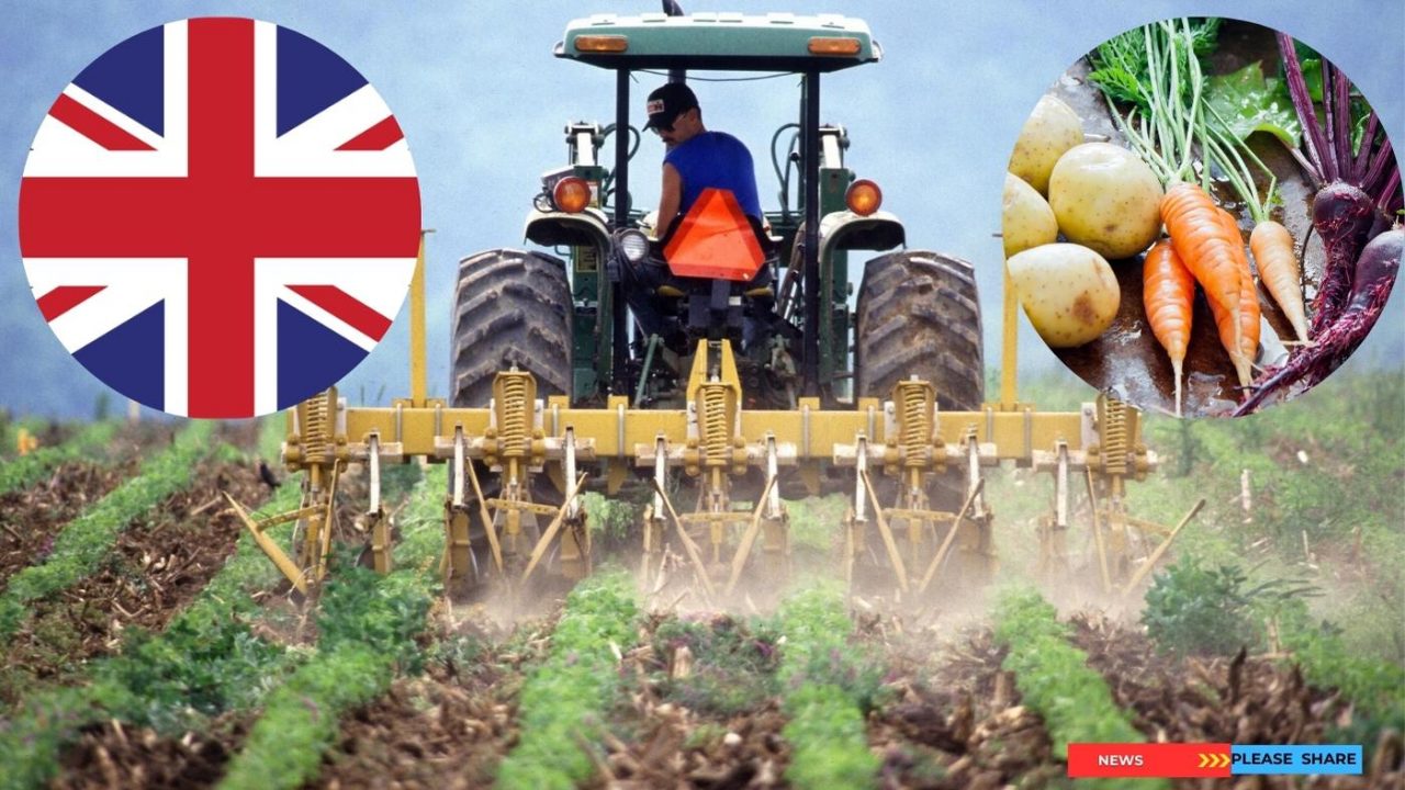 Tesco Joins "Buy British" Campaign Backed by Watford MP Dean Russell ...